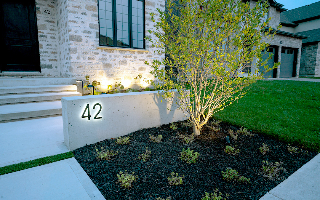 Landscape Design In Concrete Wall Retaining Wall And Plantings For New